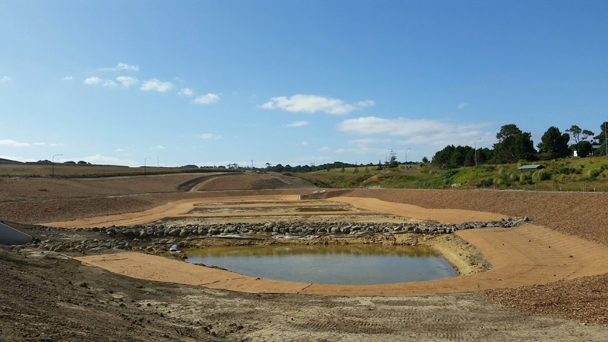 Wetland Planting - The Plant People