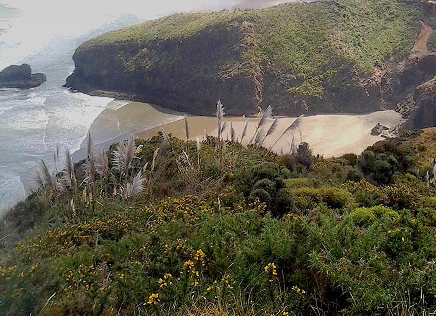 Ecological Restoration - The Plant People