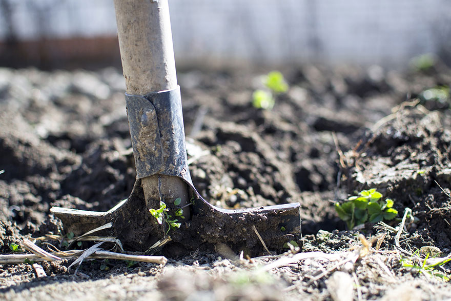 Garden Maintenance Labourer - Archive - The Plant People