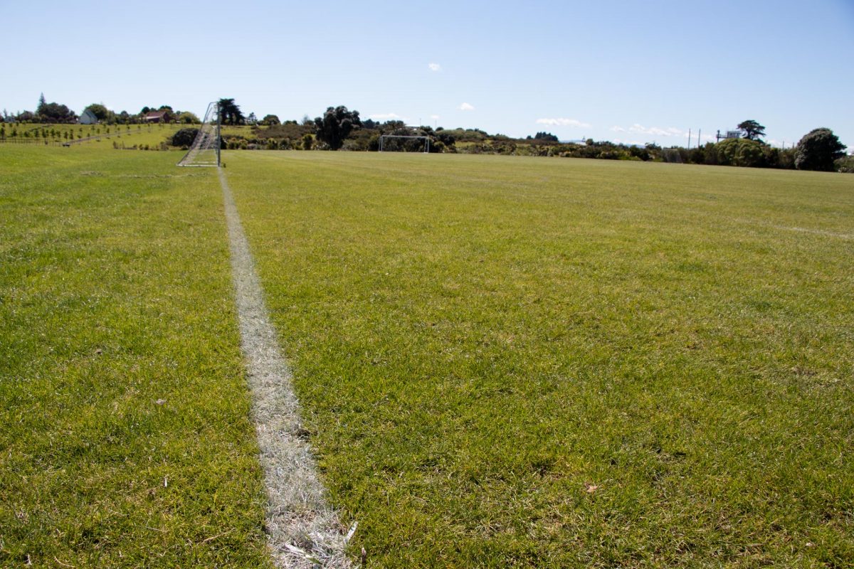 Maintaining The Footy Field - The Plant People