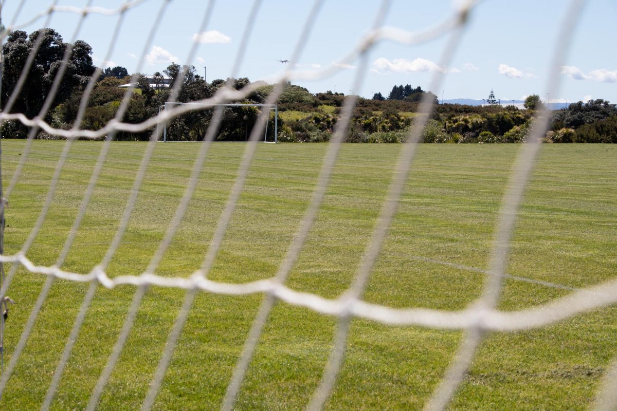 Maintaining The Footy Field - The Plant People