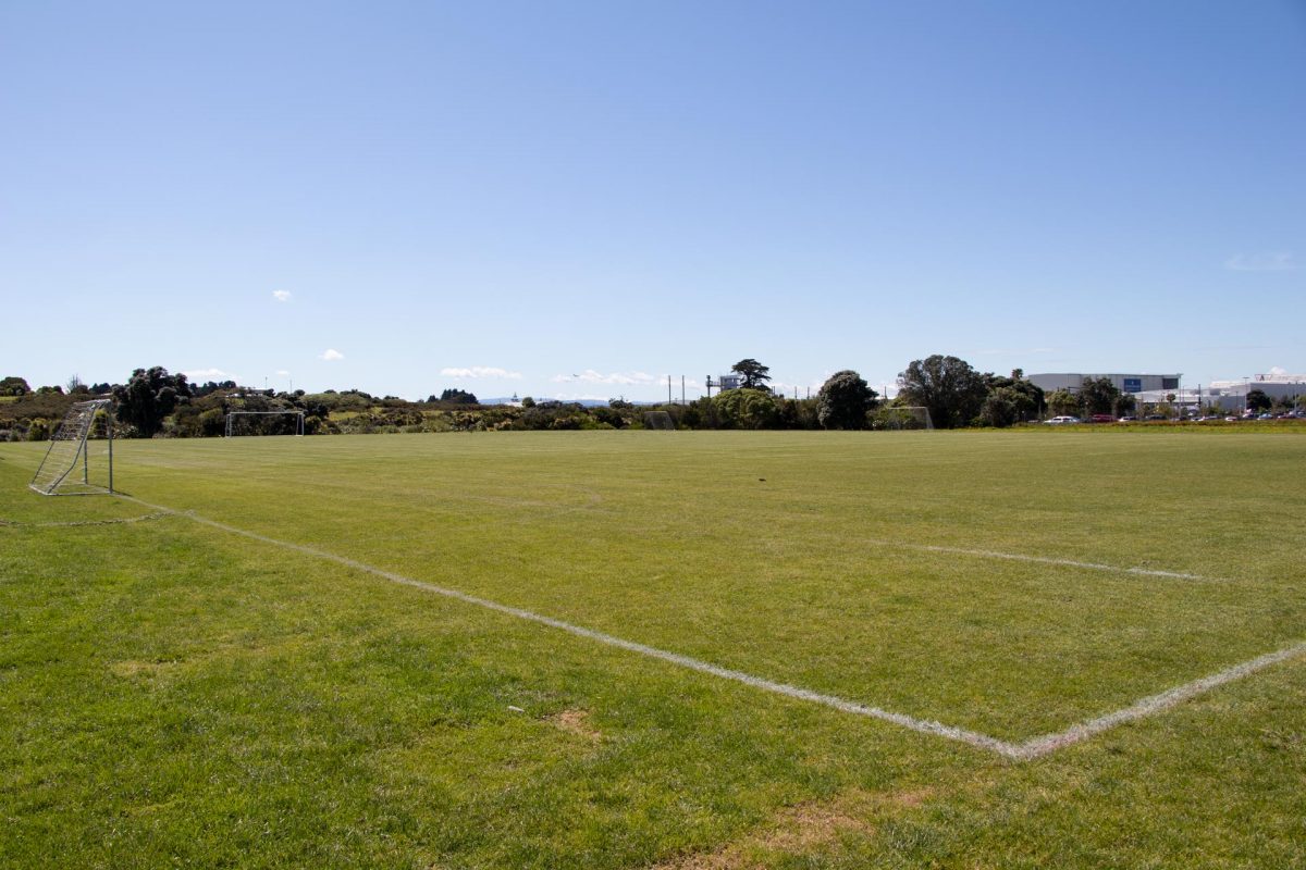 Maintaining The Footy Field - The Plant People