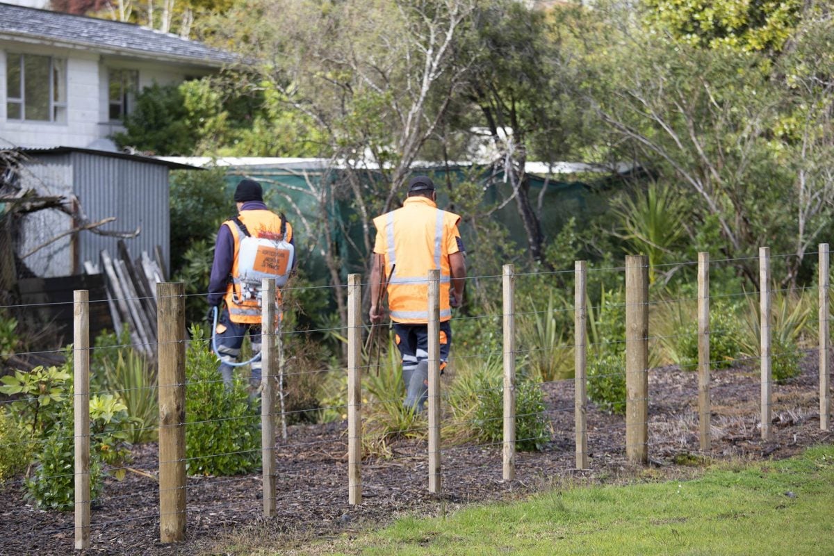 Offsite Mitigation Planting at Massey Pony Club - The Plant People