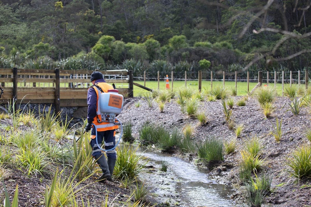 Offsite Mitigation Planting at Massey Pony Club - The Plant People