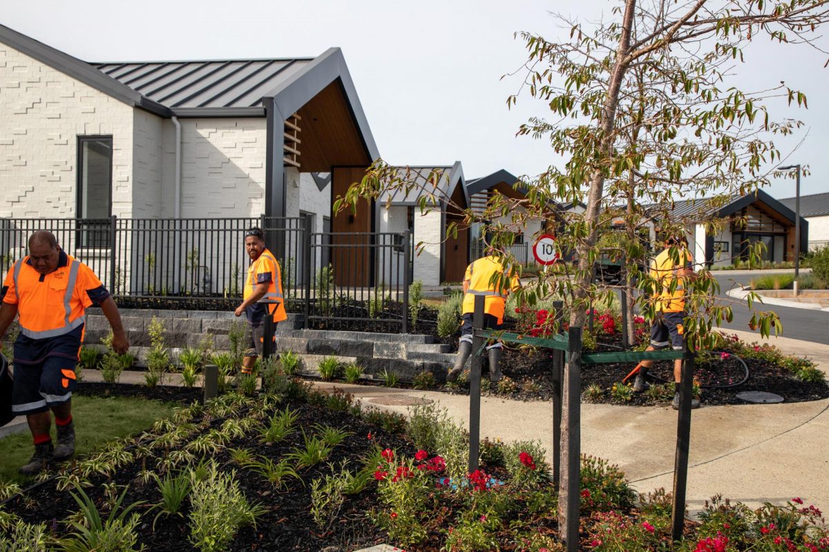 Commercial Landscaping - The Plant People