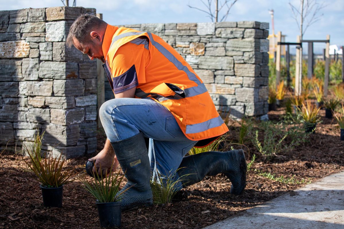 Landscape Gardener/Labourer -Canterbury - The Plant People